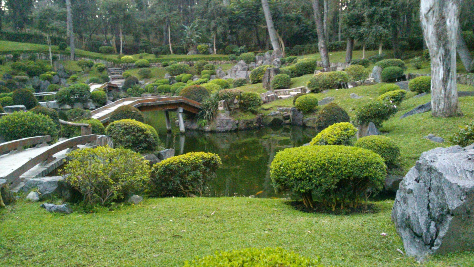 Física Historia y Asuntos Universitarios: El Parque Los Colomos de ...